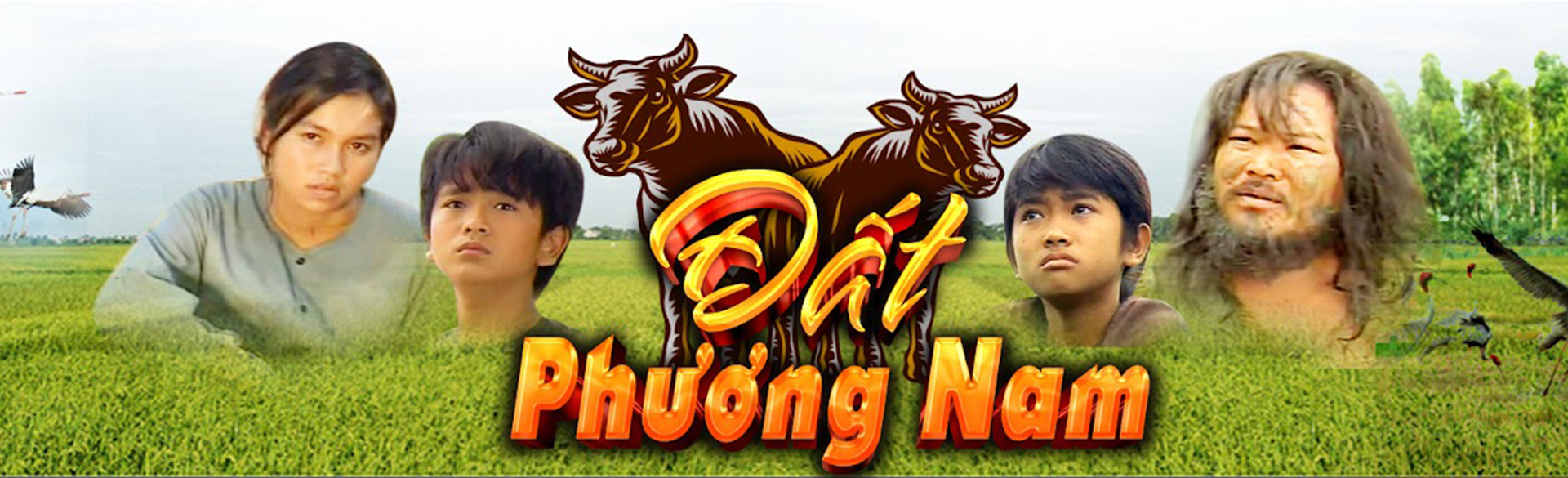 Xem Tivi Online, Xem Phim, TV Show, Video Clip| HPLUS