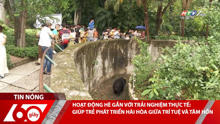 Xem Clip HOẠT ĐỘNG HÈ GẮN VỚI TRẢI NGHIỆM THỰC TẾ: GIÚP TRẺ PHÁT TRIỂN ...