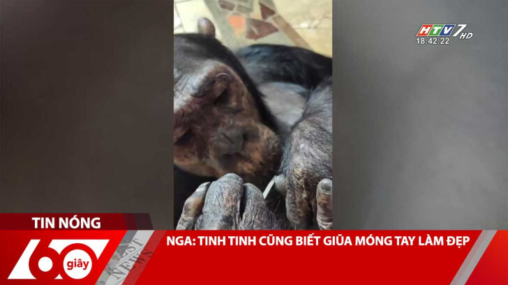 Xem Clip NGA: TINH TINH CŨNG BIẾT GIŨA MÓNG TAY LÀM ĐẸP HD Online